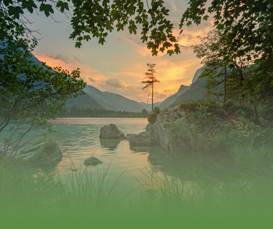 The Power of Pausing Before We Speak - Safety | GreenTek